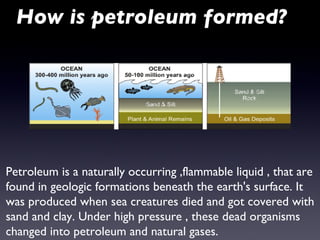 Coal & petroleum | PPT
