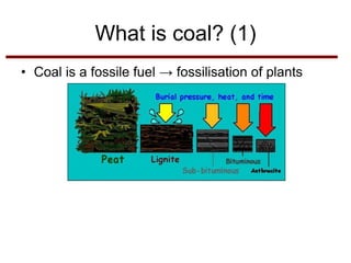 Coal Supply Chain Example | PDF