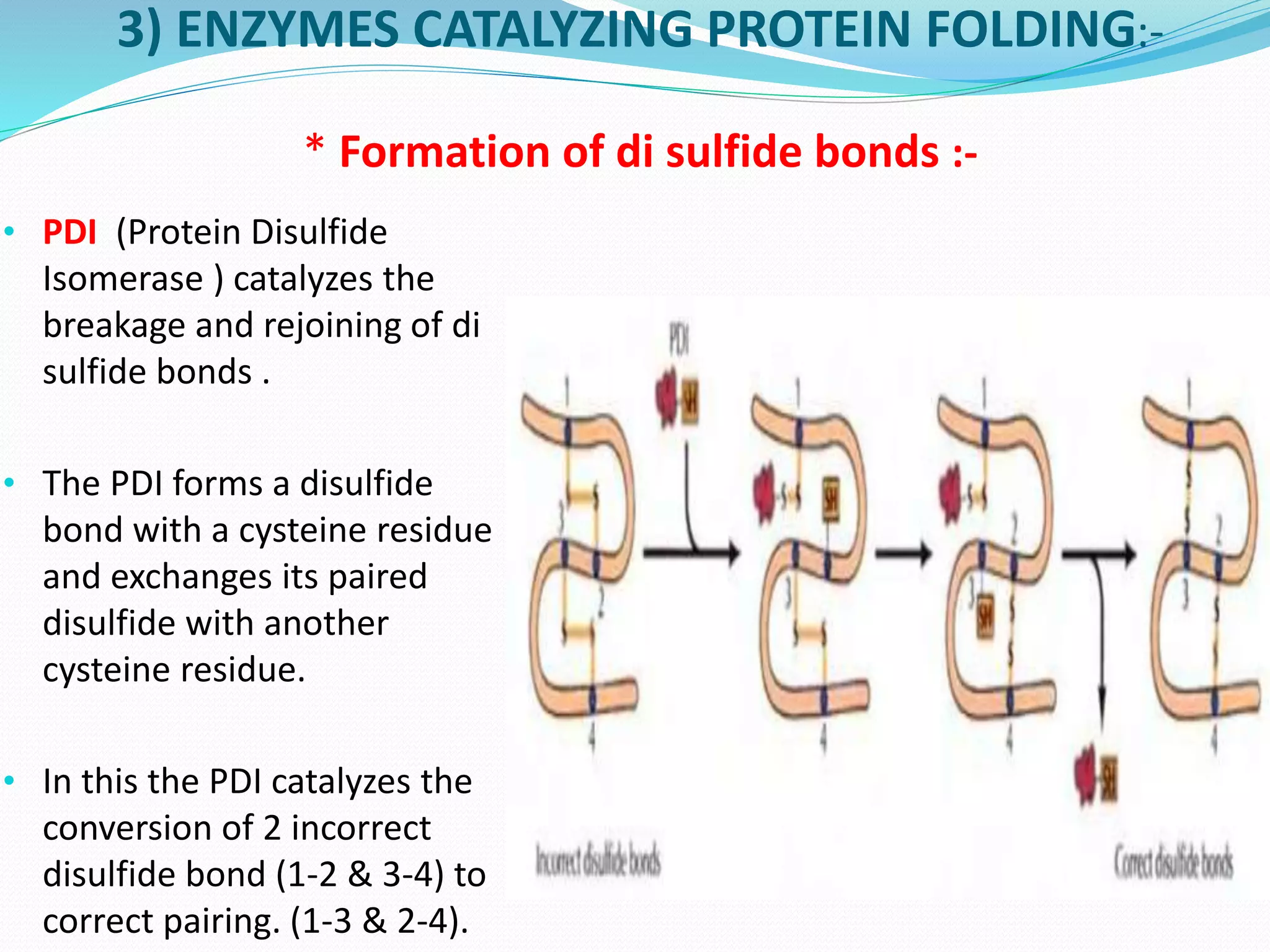 Co and post translationational modification of proteins | PPTX