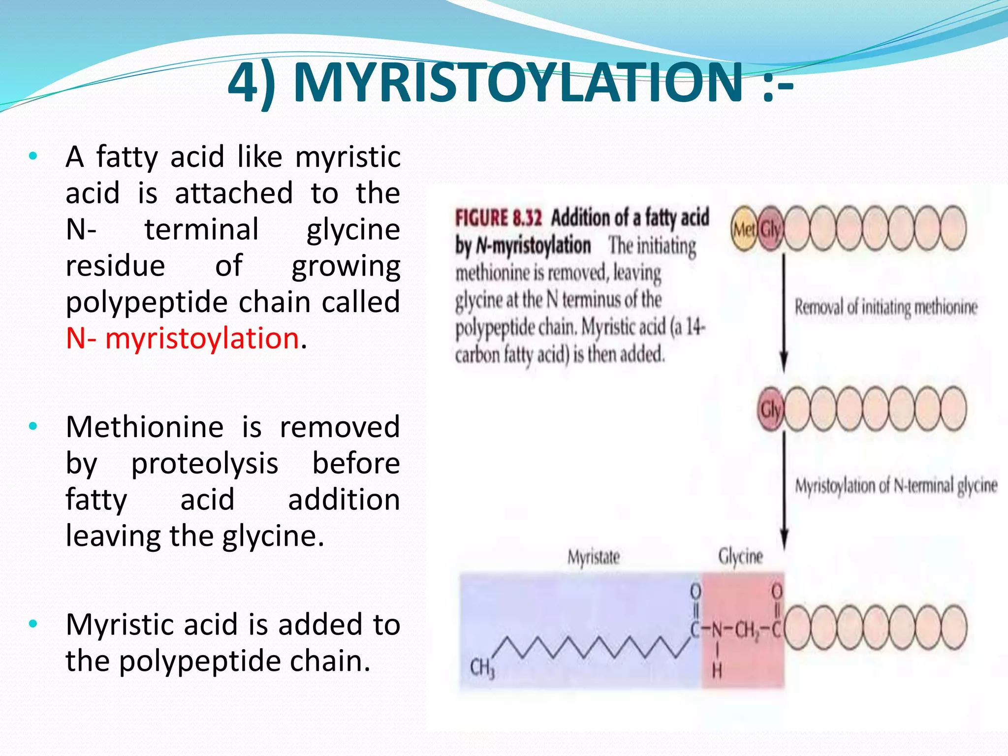 Co and post translationational modification of proteins | PPTX