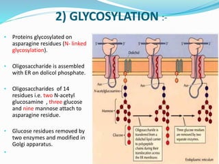 Co and post translationational modification of proteins | PPTX