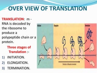 Co and post translationational modification of proteins | PPTX