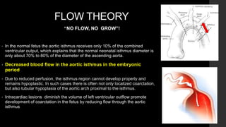 Coa pathophysiology | PPTX
