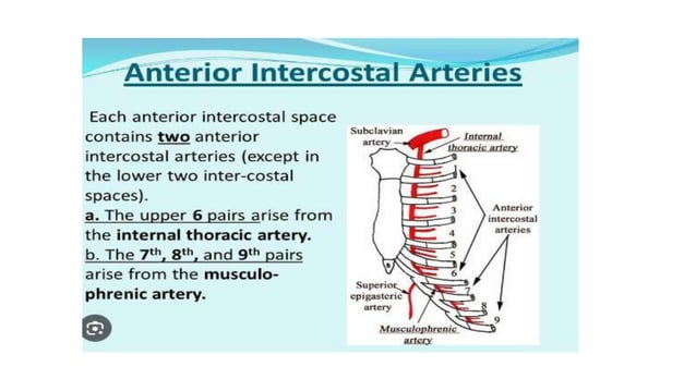 Coarctation of aorta.pptx