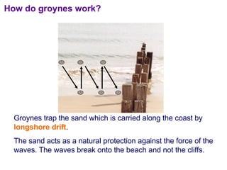 Coastal Management 1194172427916177 5 | PPT