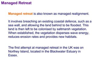 Coastal Management 1194172427916177 5 | PPT