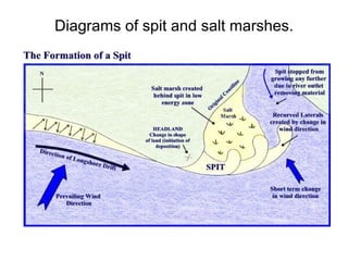 Coastal Processes And Landforms | PPT