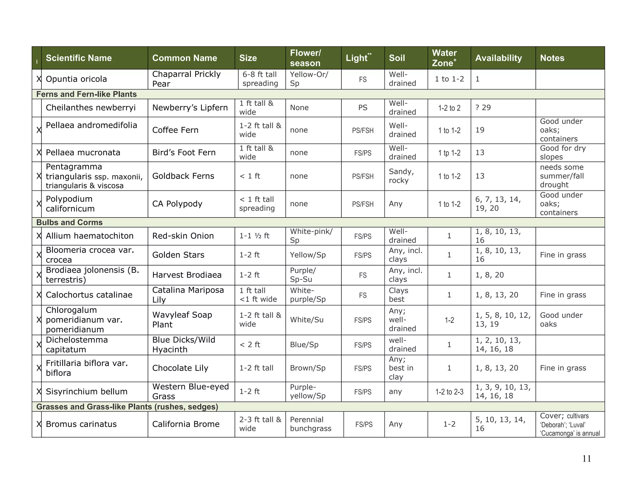 Coastal sage-scrub palette-3-11 | PDF