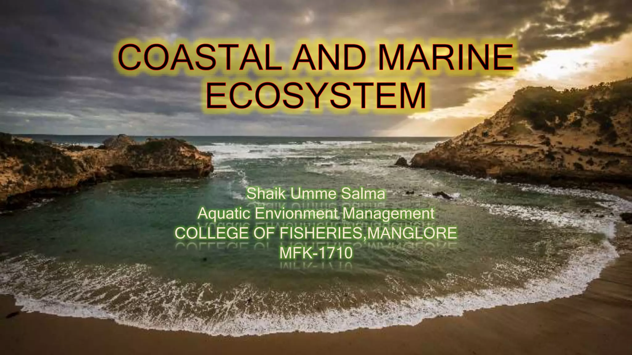 Coastal and marine ecosystem | PPTX