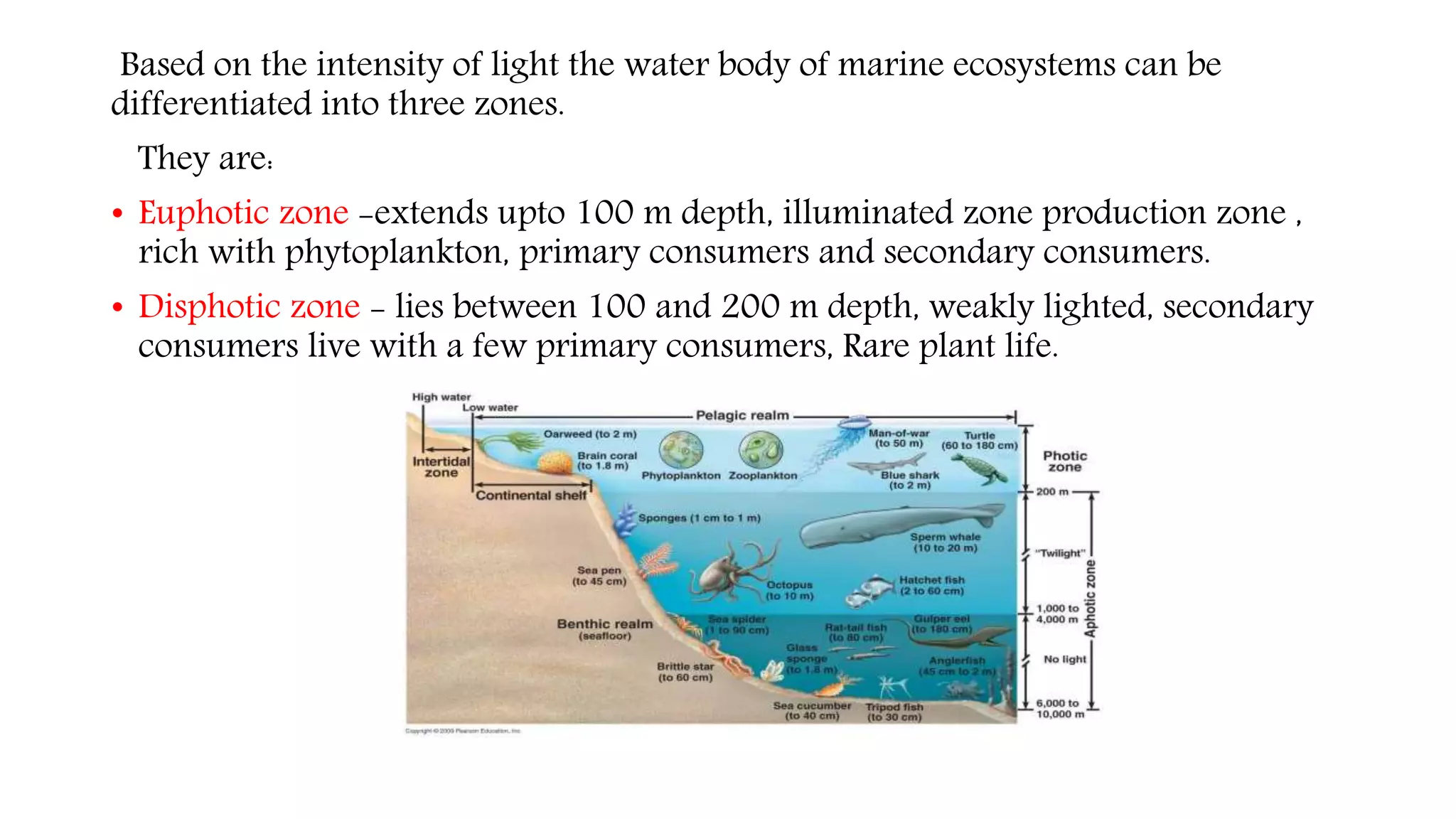 Coastal and marine ecosystem | PPTX