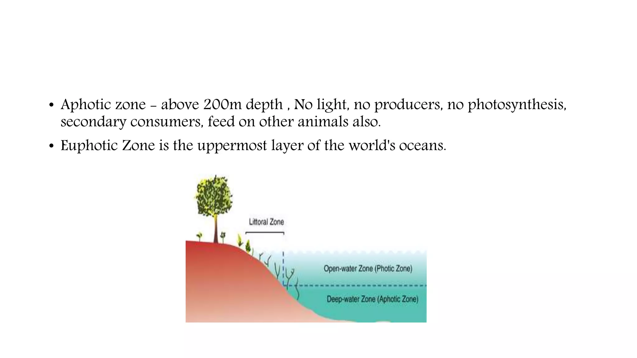 Coastal and marine ecosystem | PPTX