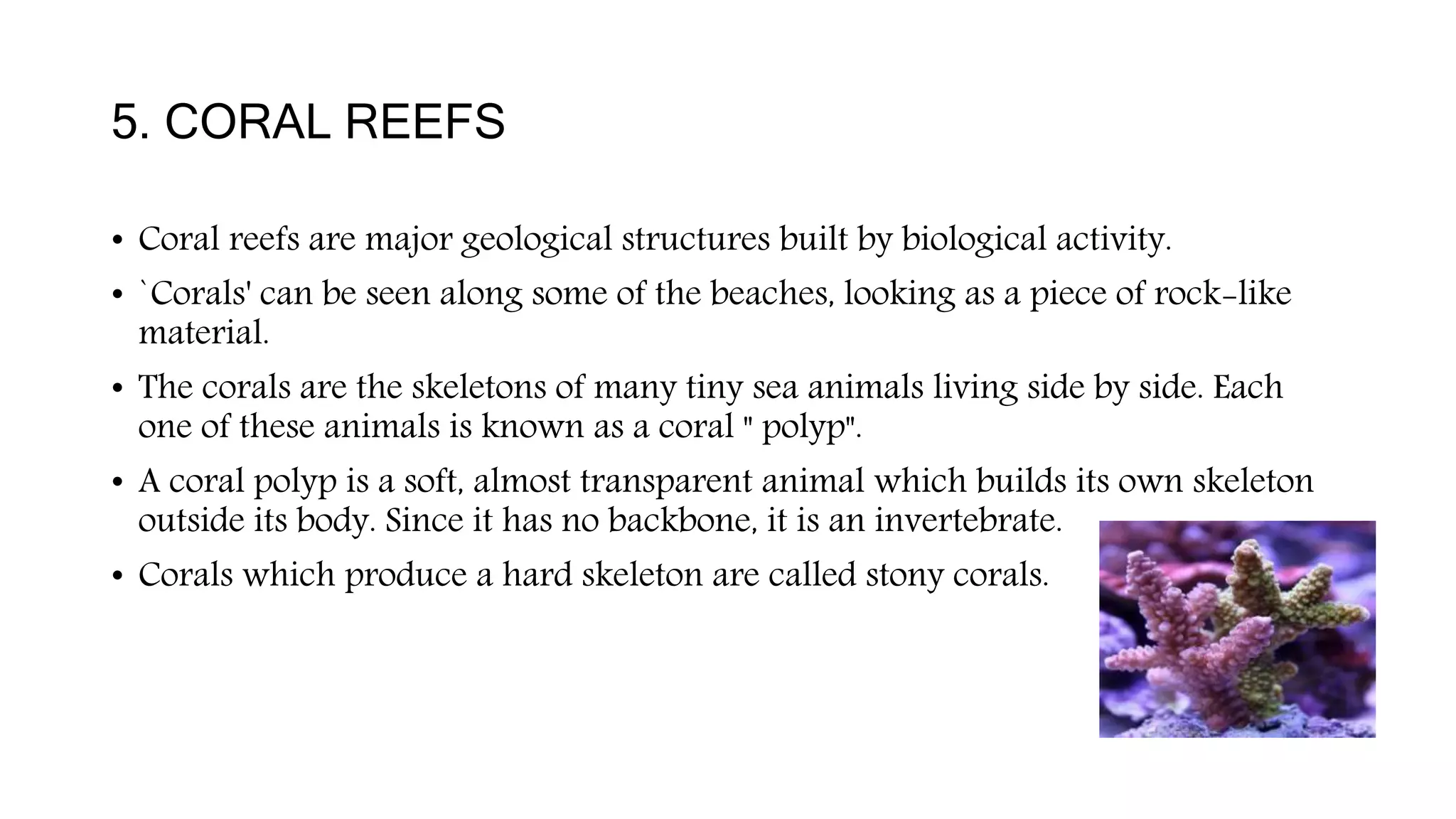 Coastal and marine ecosystem | PPTX