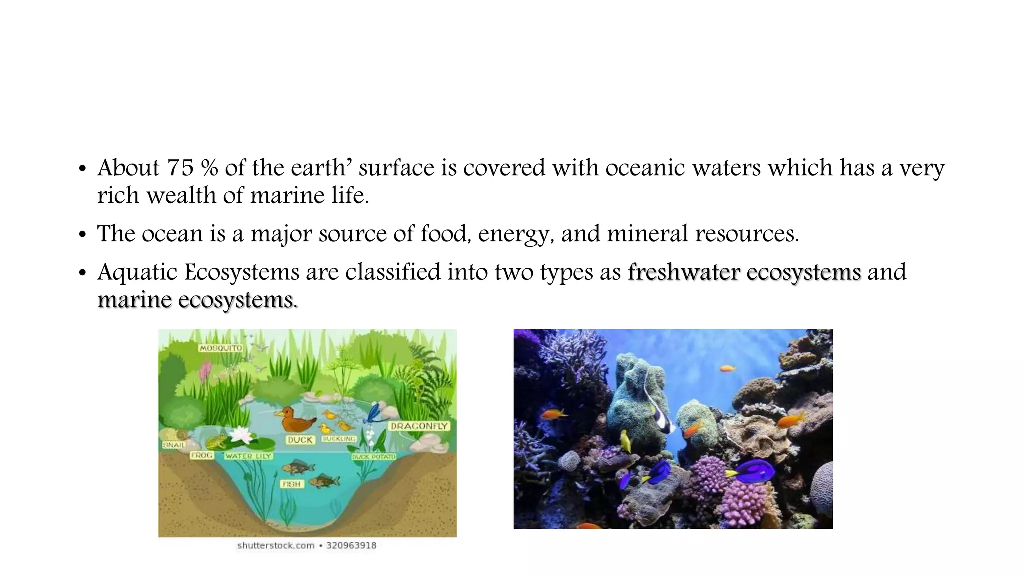 Coastal and marine ecosystem | PPTX