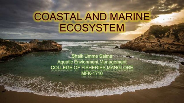 Coastal and marine ecosystem | PPTX