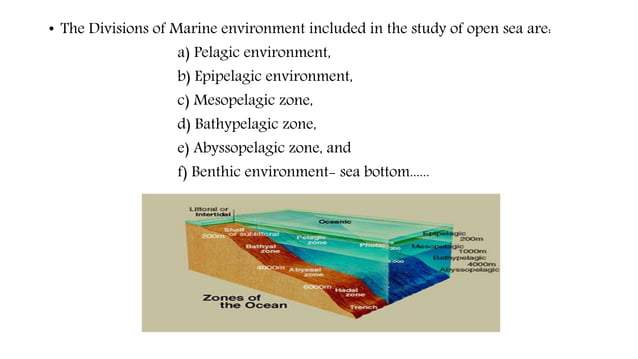 Coastal and marine ecosystem | PPTX