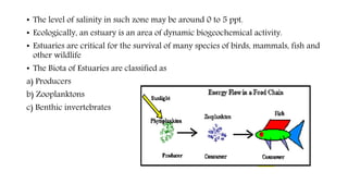 Coastal and marine ecosystem | PPTX