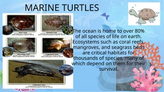 COASTAL AND MARINE RESOURCES and others.pptx