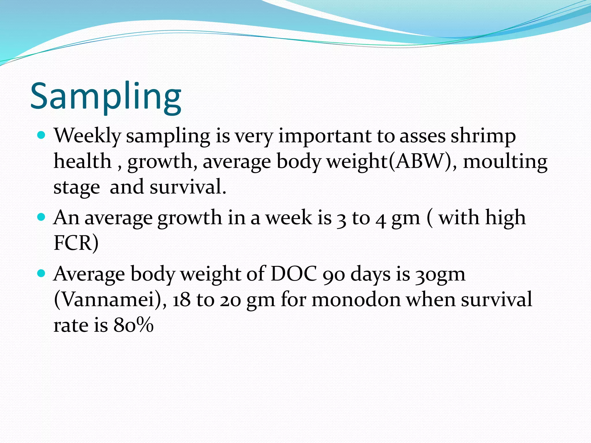 Shrimp Culture | PPTX