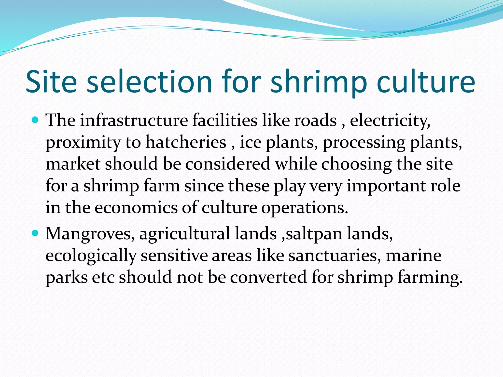 Shrimp Culture | PPTX