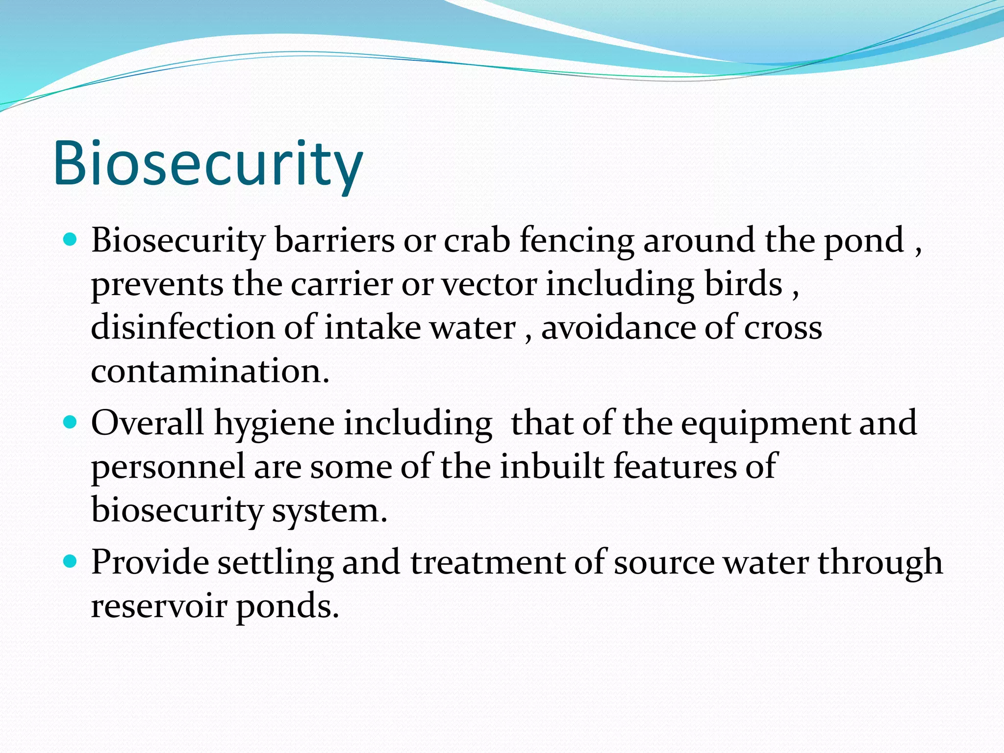 Shrimp Culture | PPTX