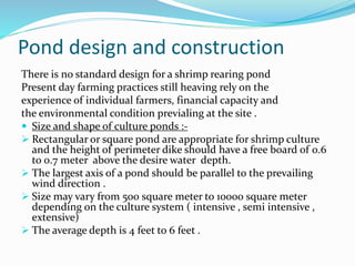 Shrimp Culture | PPTX