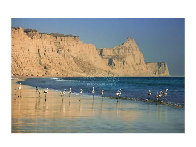 Coastal areas of Pakistan | PPSX