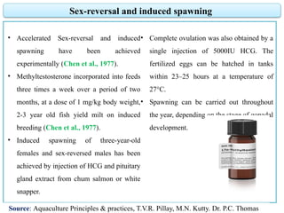 Culture technique of Grouper, sea breams and Pearlspot | PPT