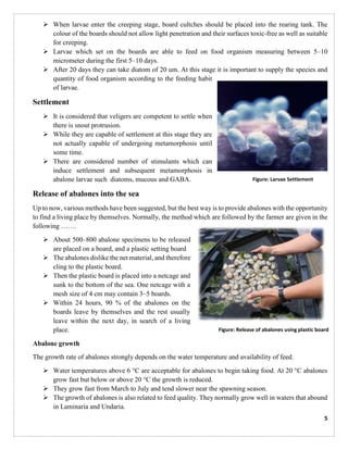 Abalone culture, morphology, larval rearing, settlement.pdf