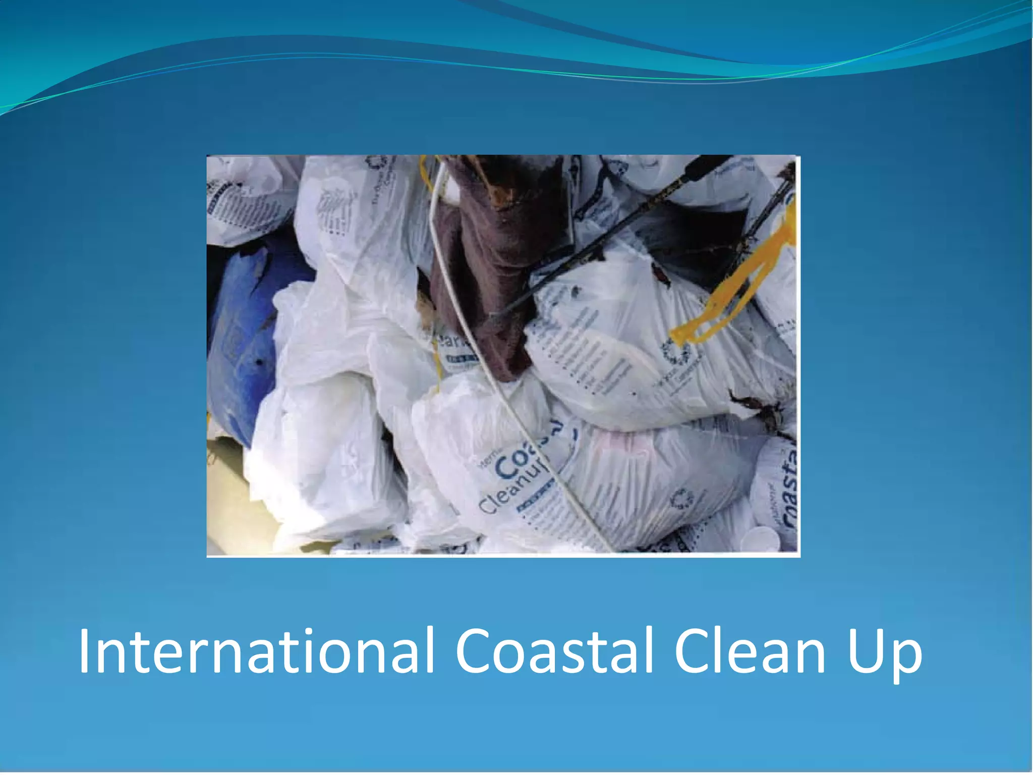 Coastal Clean Up | PDF