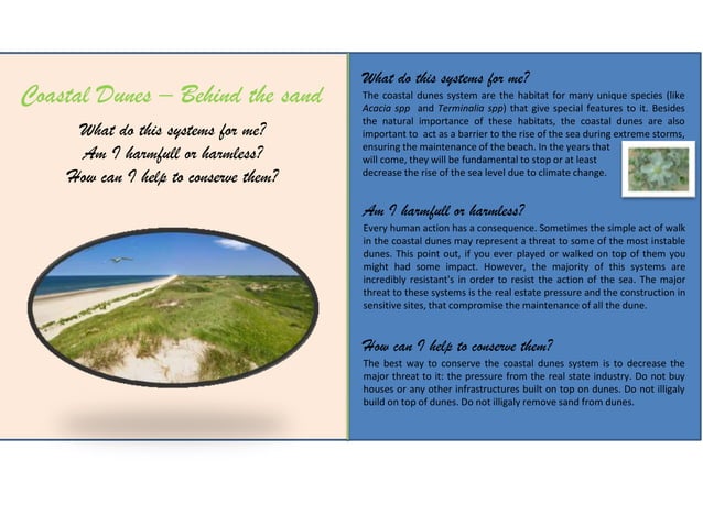 Coastal dunes – behind the sand | PPT