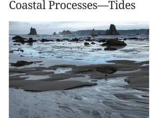 Coastal Environ-WPS Office.pptx for explanation on coastal environment ...