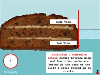 Coastal erosion processes | PPT