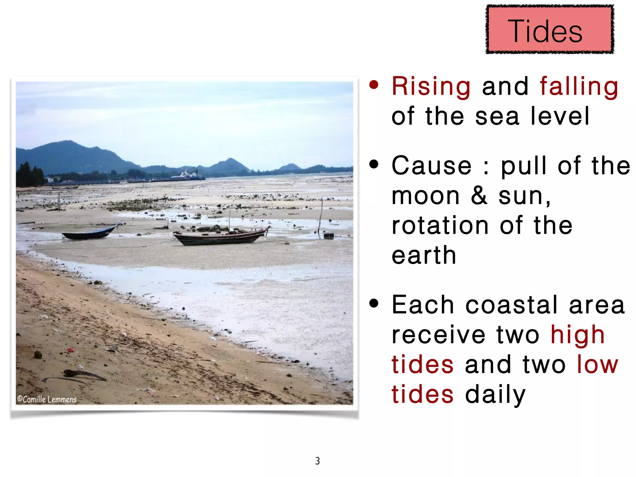 Coastal erosional processes and landforms lesson 4 | PPT