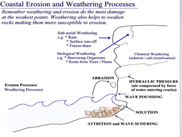 Coastal erosional processes and landforms lesson 4 | PPT | Surfing and ...