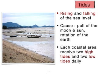 Coastal erosional processes and landforms lesson 4 | PPT