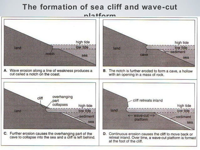 Coastal erosional processes and landforms lesson 4 | PPT | Surfing and ...