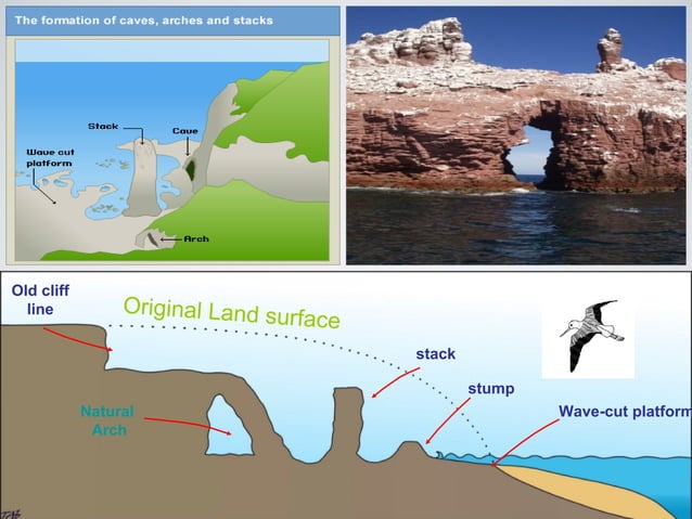Coastal erosional processes and landforms lesson 4 | PPT | Surfing and ...