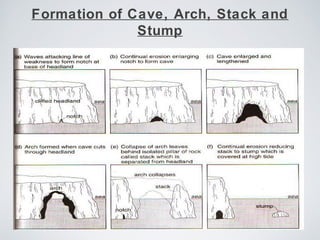 Coastal erosional processes and landforms lesson 4 | PPT