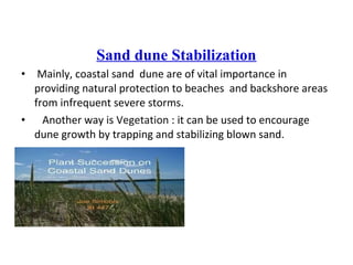 Coastal erosion mitigation | PPT