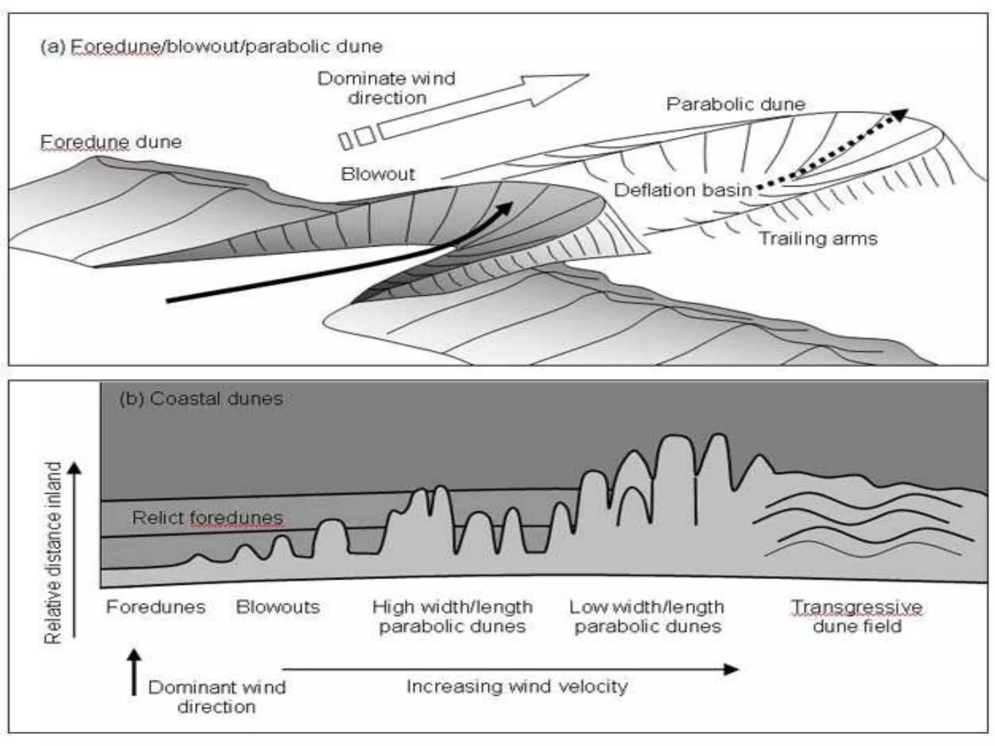 Coastal Geomorphology Landforms Of Wave Erosion & Deposition | PPTX Coastal Geomorphology Landforms Of Wave Erosion & Deposition | PPTX