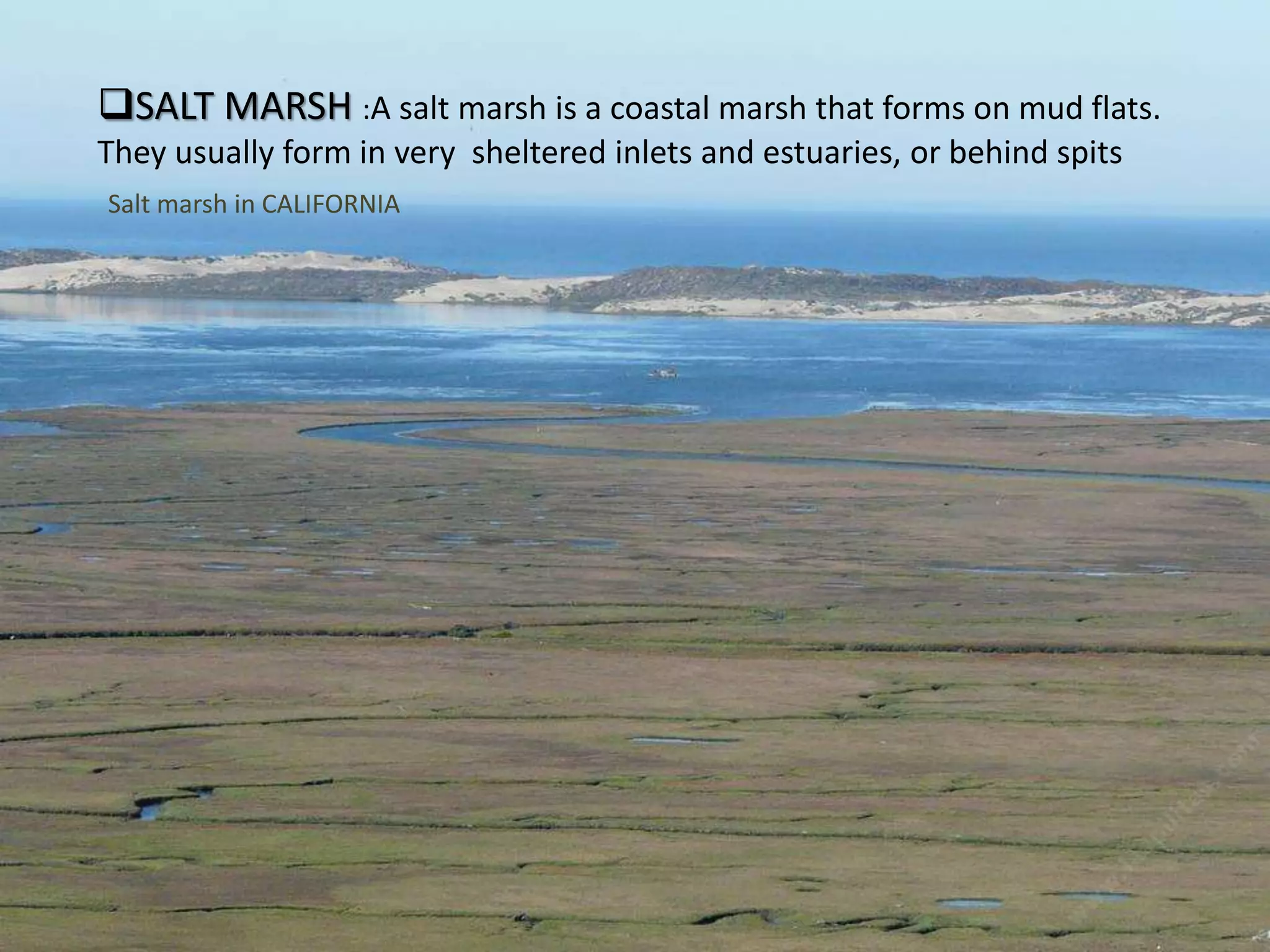 Coastal Geomorphology Landforms Of Wave Erosion & Deposition | PPTX Coastal Geomorphology Landforms Of Wave Erosion & Deposition | PPTX