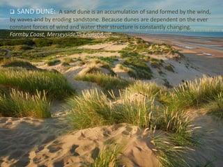 Coastal Geomorphology Landforms Of Wave Erosion & Deposition | PPTX