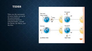 Coastal Land Form | PPTX