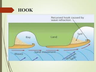 Coastal land form | PPTX