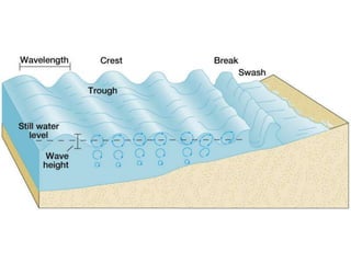 Coastal Landforms geomorphology physical Geography | PPT