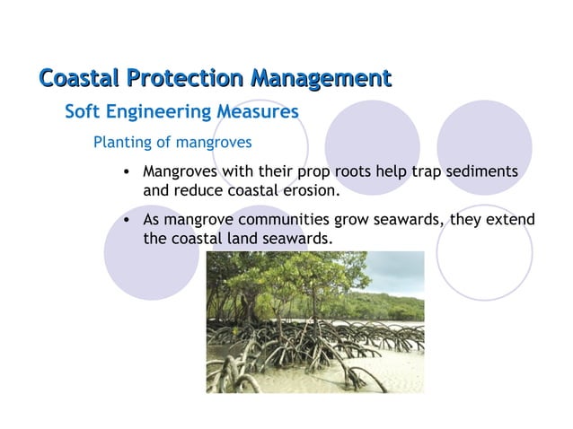 Sec 3 Coastal Management | PPT