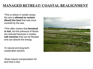 Coastal Management | PPT