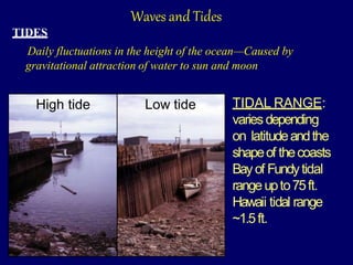 Coastal Processes.pptx