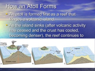 Coastal Processes and Landforms | PPT