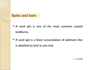Coastal processes and landforms | PPT